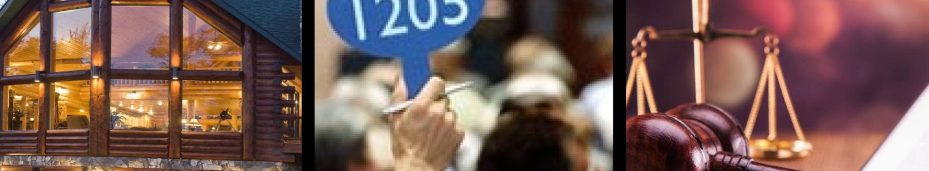 Real Estate Auctions